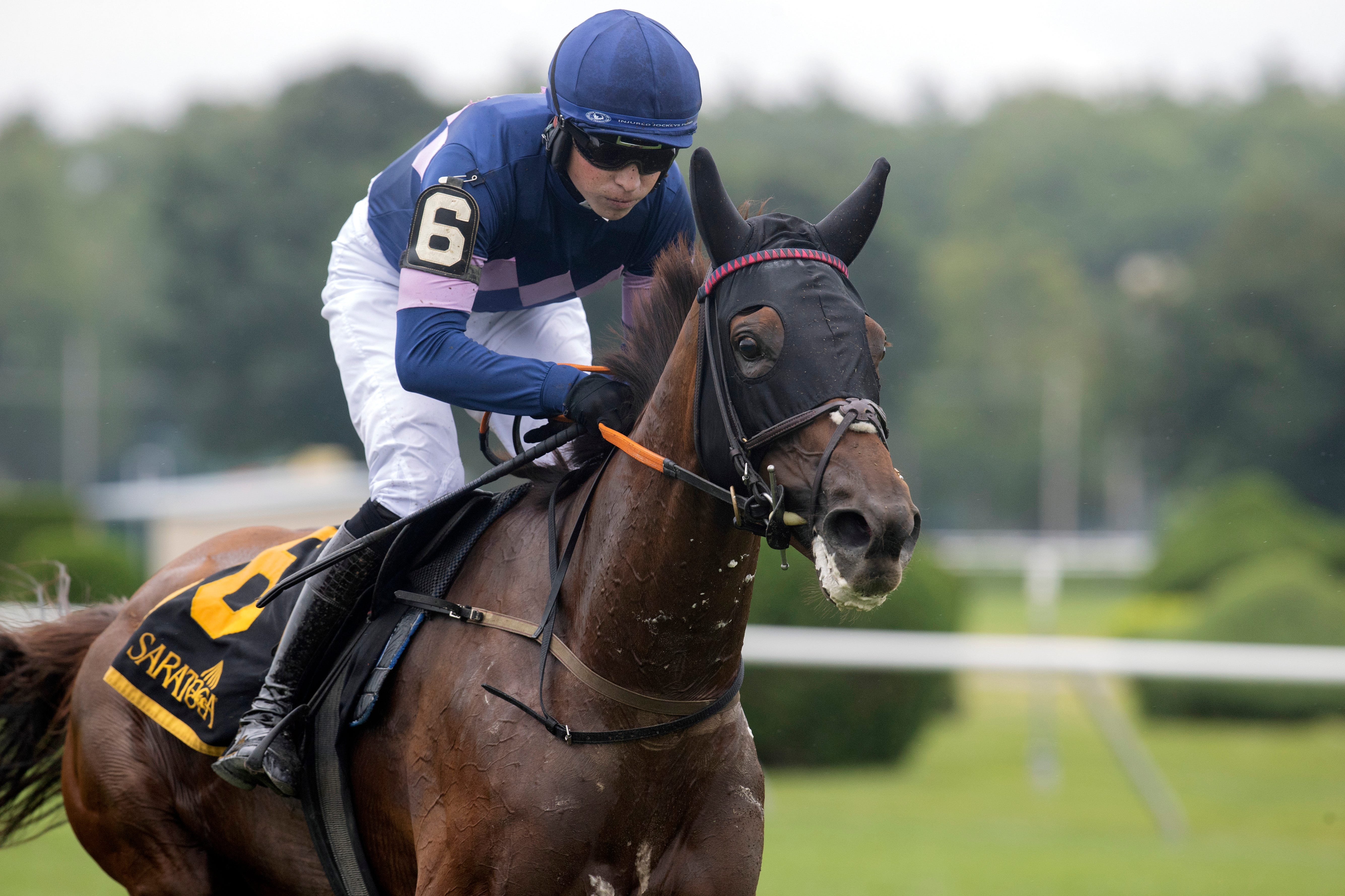 The Mean Queen and Snap Decision race on Thursday, but not against each other